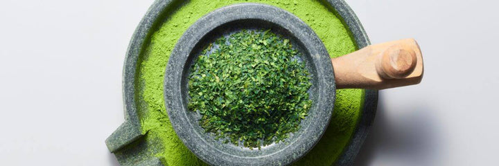 Does Matcha go Bad? All Good Things must Come to an End – Nio Teas
