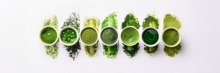 The Perfect Matcha Water Temp to Unlock the Best Brew – Nio Teas