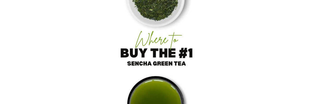 Sencha – Nio Teas